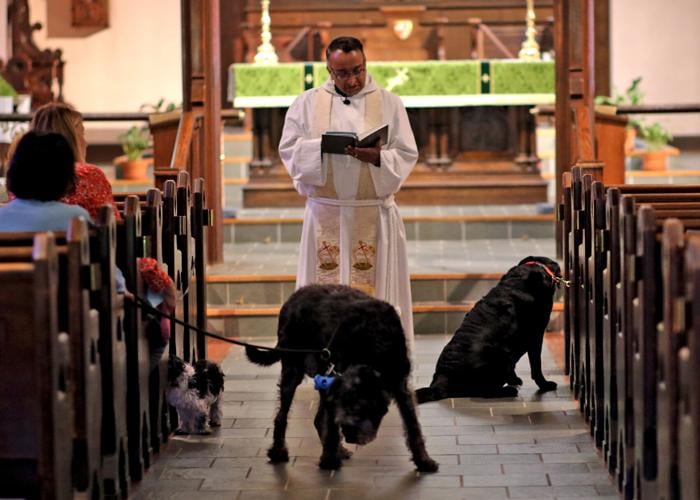 PHOTOS: The annual Blessing of the Animals | Daily-news-alerts ...