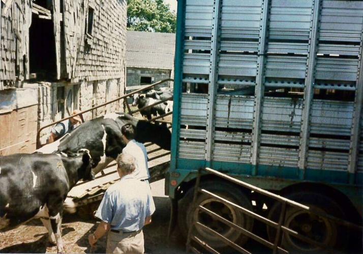 A love story for her dad “Barnflower: A Rhode Island Farm Memoir ...