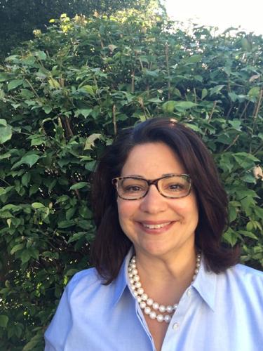 Kate Rotella campaigning on improving on economy, healthcare in ...