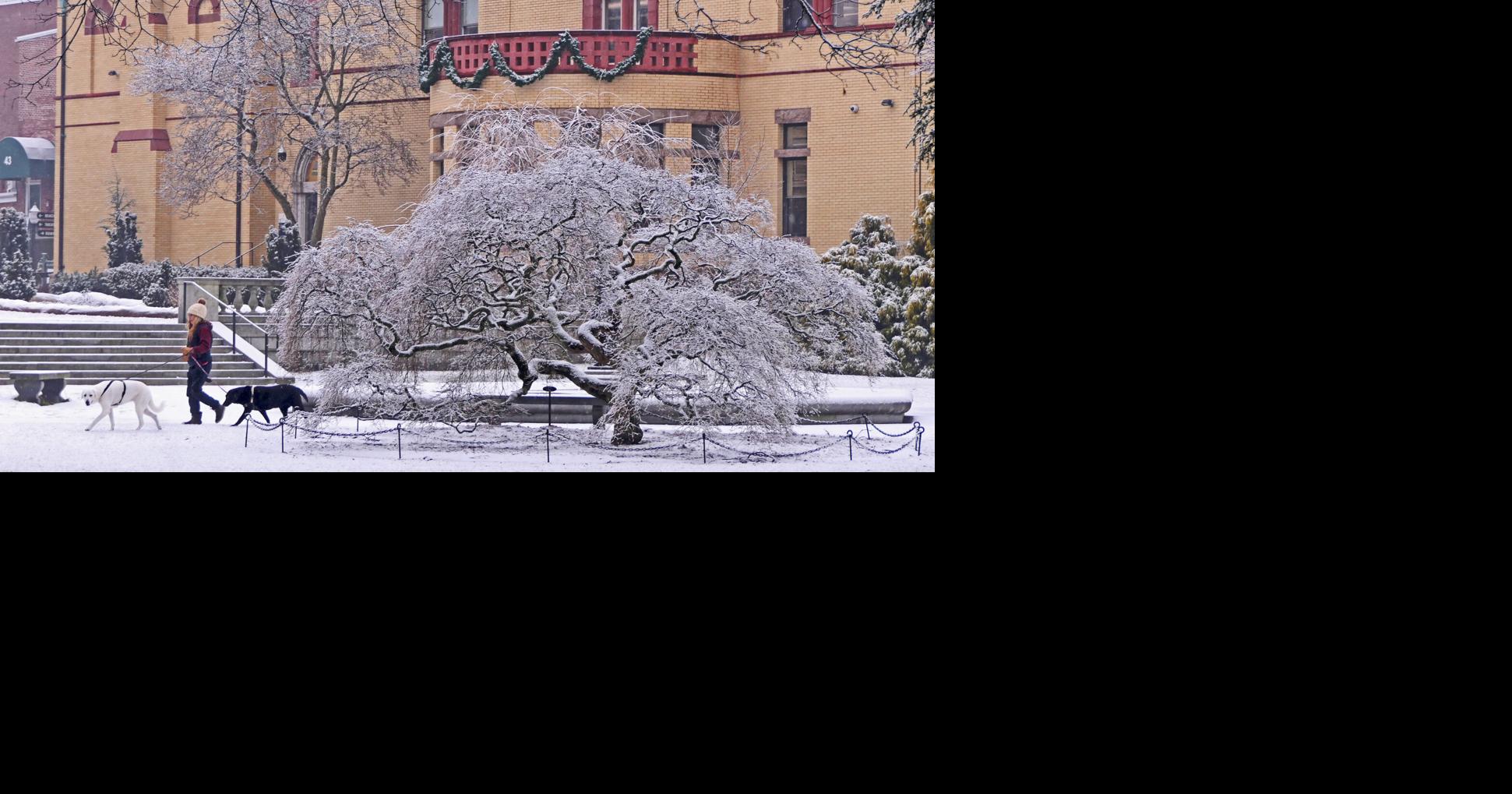 Winter Wonderland: A snowy day off in Westerly and Stonington | Daily ...