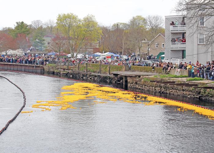 26th Annual Pawcatuck River Duck Race raises $90K for local causes ...