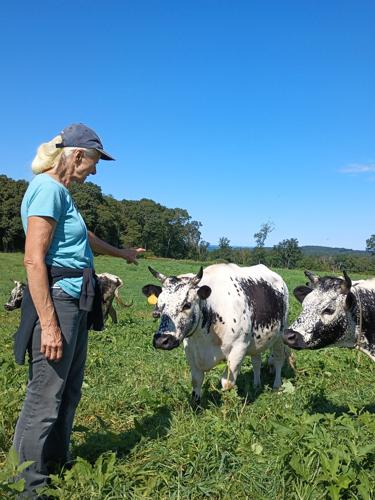 Leaving a legacy: Firefly Farms seeks home for its herd as retirement ...