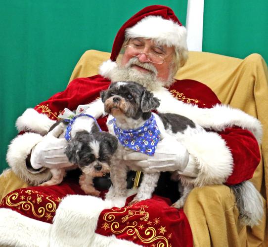 PHOTOS: Paws for Santa Claus at the annual Pet Photos with Santa event ...