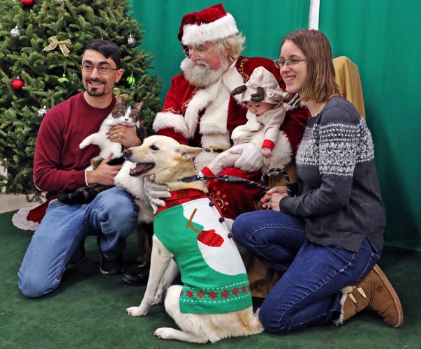 PHOTOS: Paws for Santa Claus at the annual Pet Photos with Santa event ...