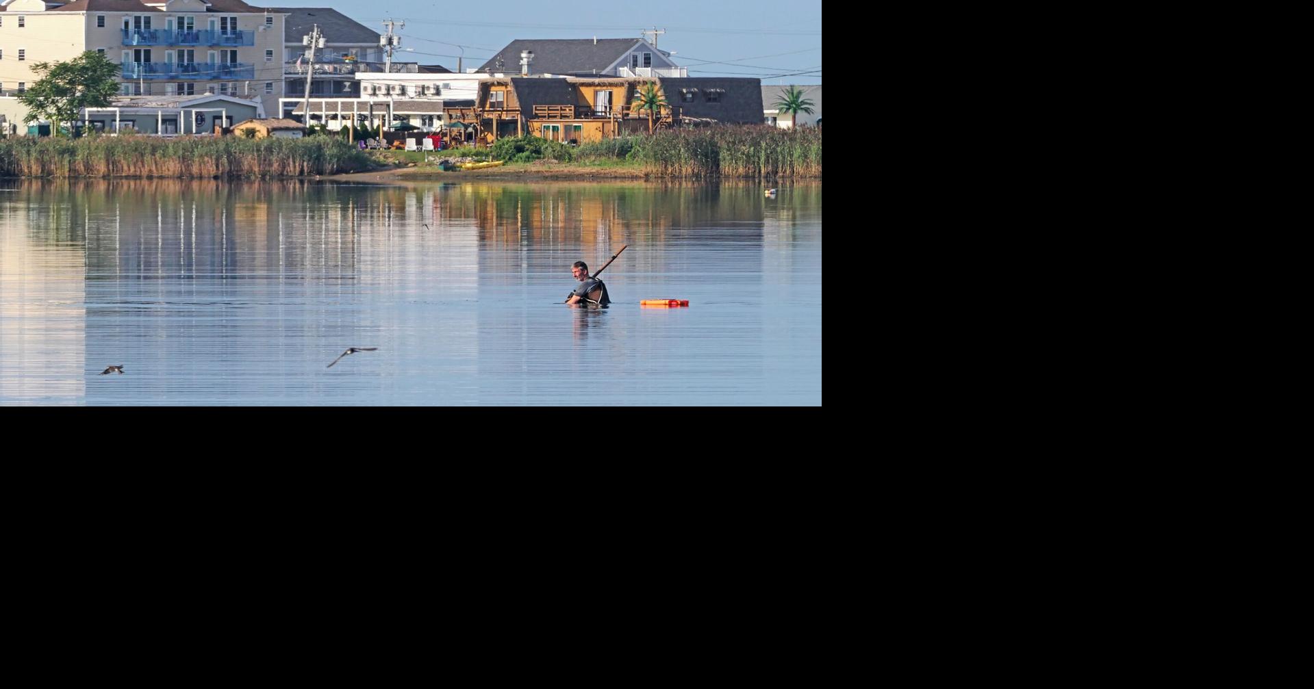 PHOTOS: Digging Up Dinner | Westerly | thewesterlysun.com