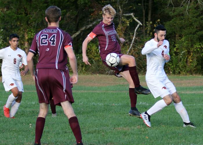 Boys soccer: Pion connects with Davino to lift Lions over Panthers ...