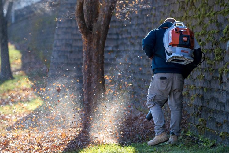 PHOTOS: Leaf season in full swing | Stonington | thewesterlysun.com