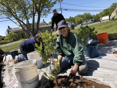Stewardship council builds Wood-Pawcatuck River community rain gardens ...