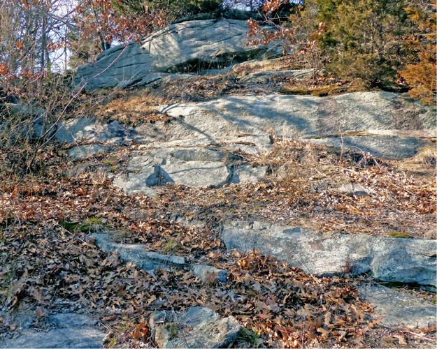 Nature has its way with hidden monument | | thewesterlysun.com