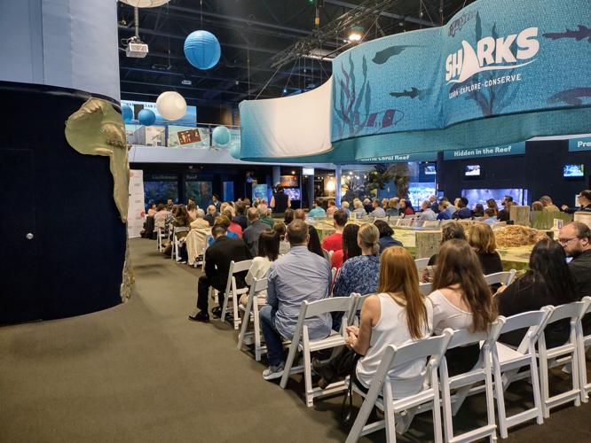 Movie magic in Mystic: Hallmark film, premiere shine spotlight on ...