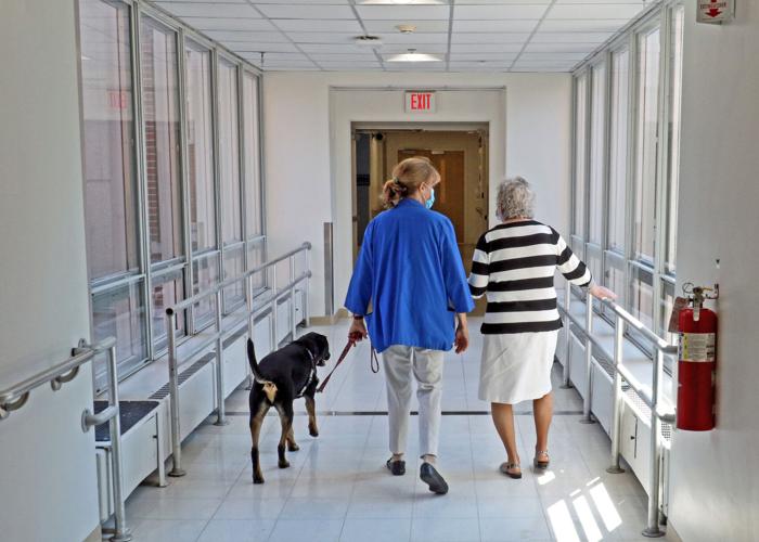PHOTOS: Therapy dogs return to Westerly Hospital | Westerly ...