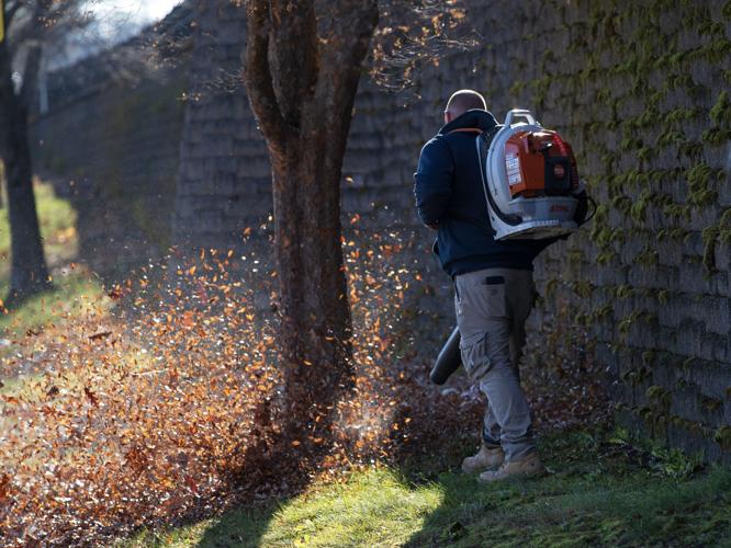 PHOTOS: Leaf season in full swing | Stonington | thewesterlysun.com