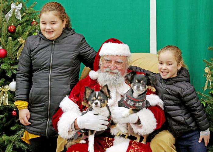 PHOTOS: Pets get a turn with Santa in Westerly | Westerly ...