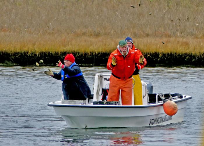 PHOTOS: Stocking oysters off Masons Island | Stonington ...