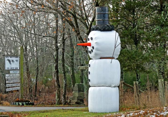 PHOTOS: An edible (for cows) snowman at Everbreeze Farm in Westerly ...