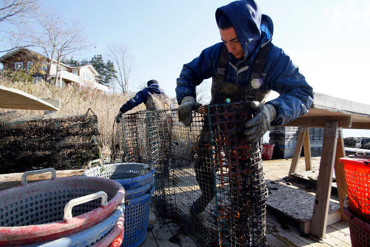 New Rhode Island plan for shellfish is well-received | News ...