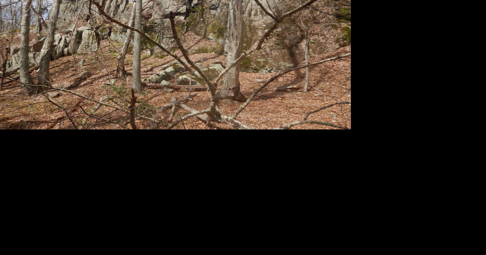 Charles Pendleton Chapman carved out a legacy in his quarry | Westerly ...