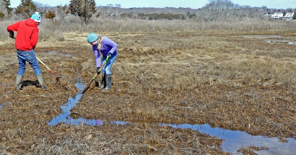 PHOTOS: Save the Bay workers clear marsh drainage channels in Westerly ...