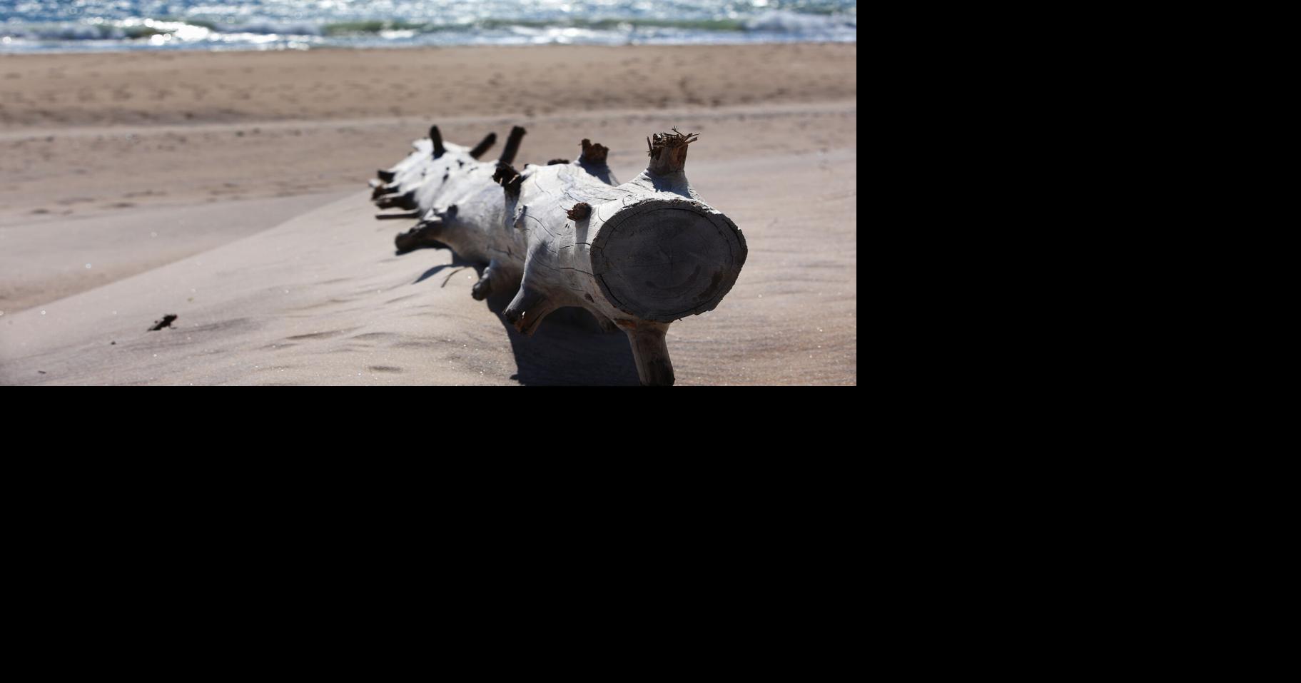 PHOTOS: Spring scenes at Charlestown Town Beach | Charlestown ...