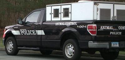 Stonington seeking applicants for animal control officer | Stonington ...