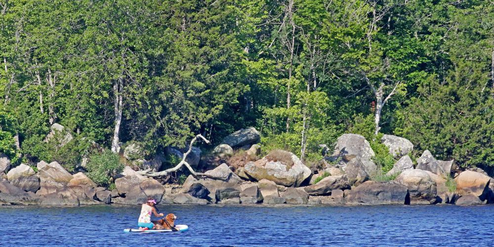 PHOTOS: Paddling on the Pawcatuck River | Westerly | thewesterlysun.com
