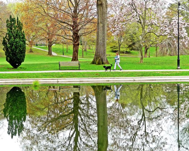PHOTOS: Seeing double at the Wilcox Park pond | Westerly ...