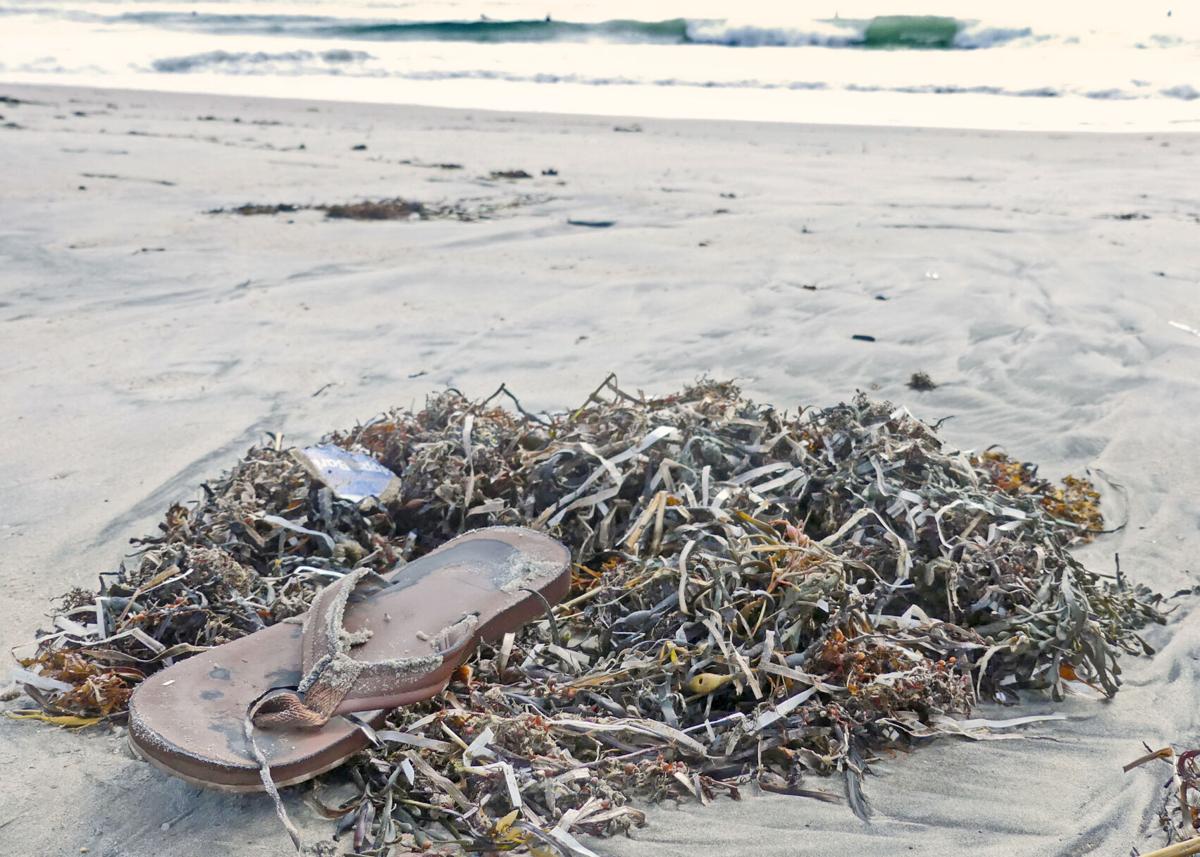 Rhode Island clean-up and beautification microgrants available from ...