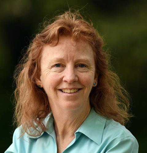 Collaboration, developing a plan of action among top priorities for ...