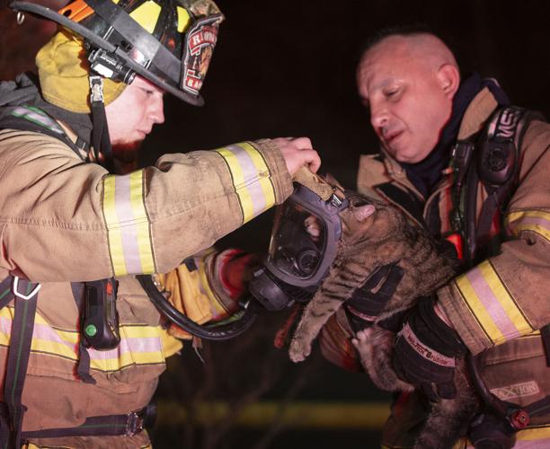 Cat resuscitated after rescue from Babcock Village apartment fire; no ...