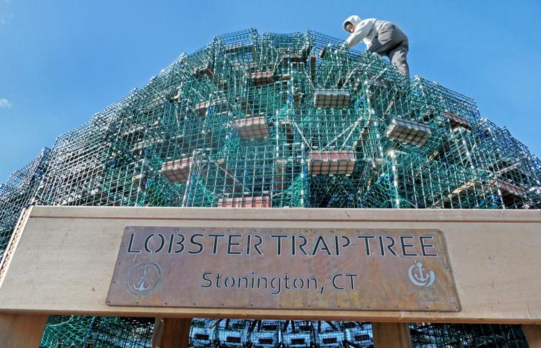 PHOTOS: Putting up the Lobster Trap Tree | Stonington | thewesterlysun.com