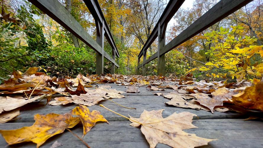 PHOTOS: Autumn ablaze at Hewitt Farm in North Stonington | North ...