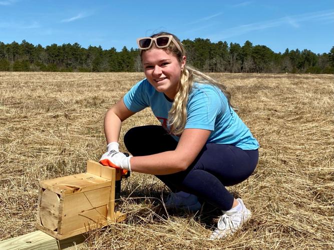 Carter Preserve holds 'Volunteer Workday' | Front Porch News ...