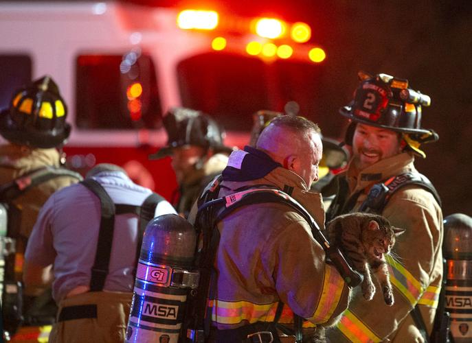 Cat resuscitated after rescue from Babcock Village apartment fire; no ...