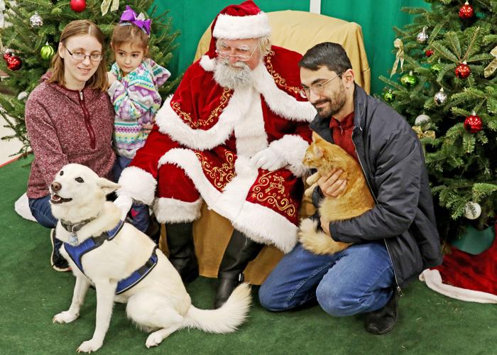 PHOTOS: Pets get a turn with Santa in Westerly | Westerly ...