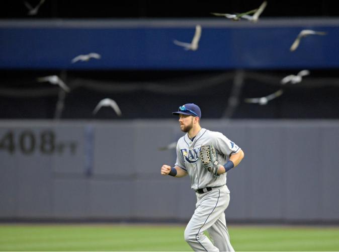 Pigeon Power: Birds swoop into stadium, Yankees fly high | Sports ...