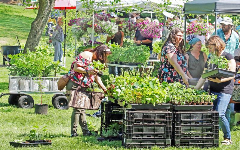 40th Annual Garden Market Fair | Entertainment | thewesterlysun.com