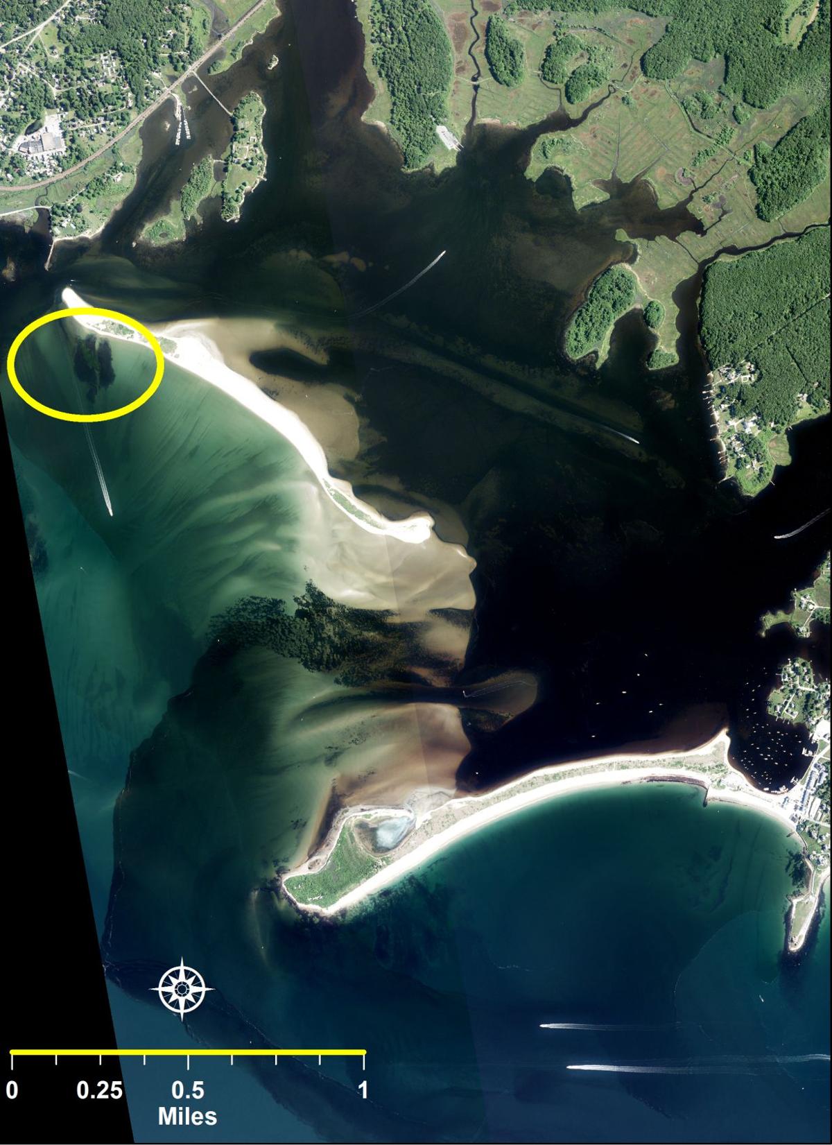 Scientists, at Napatree, refine eelgrass mapping techniques | Westerly ...