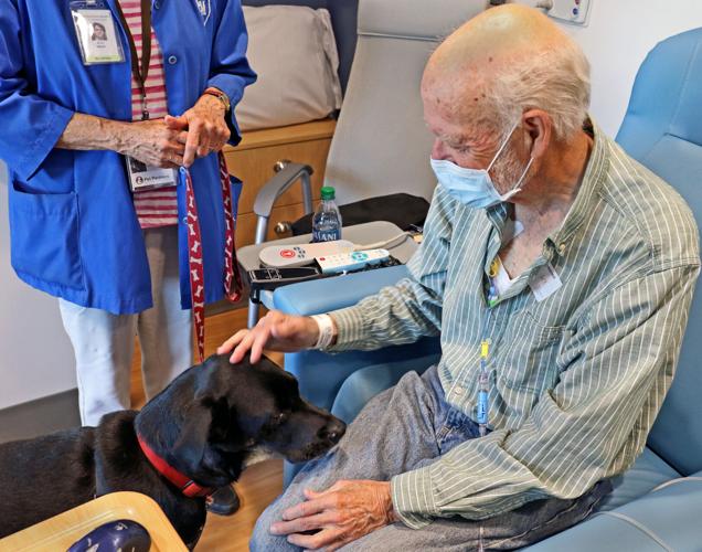 PHOTOS: Therapy dogs return to Westerly Hospital | Westerly ...