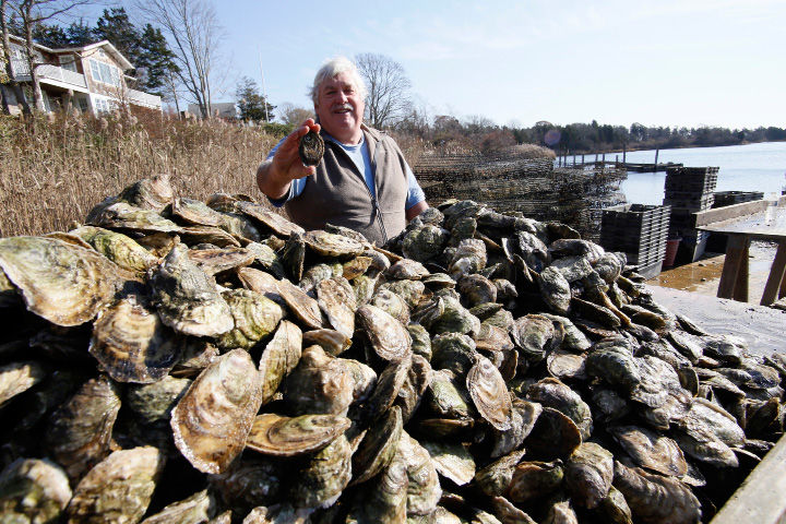 New Rhode Island plan for shellfish is well-received | News ...