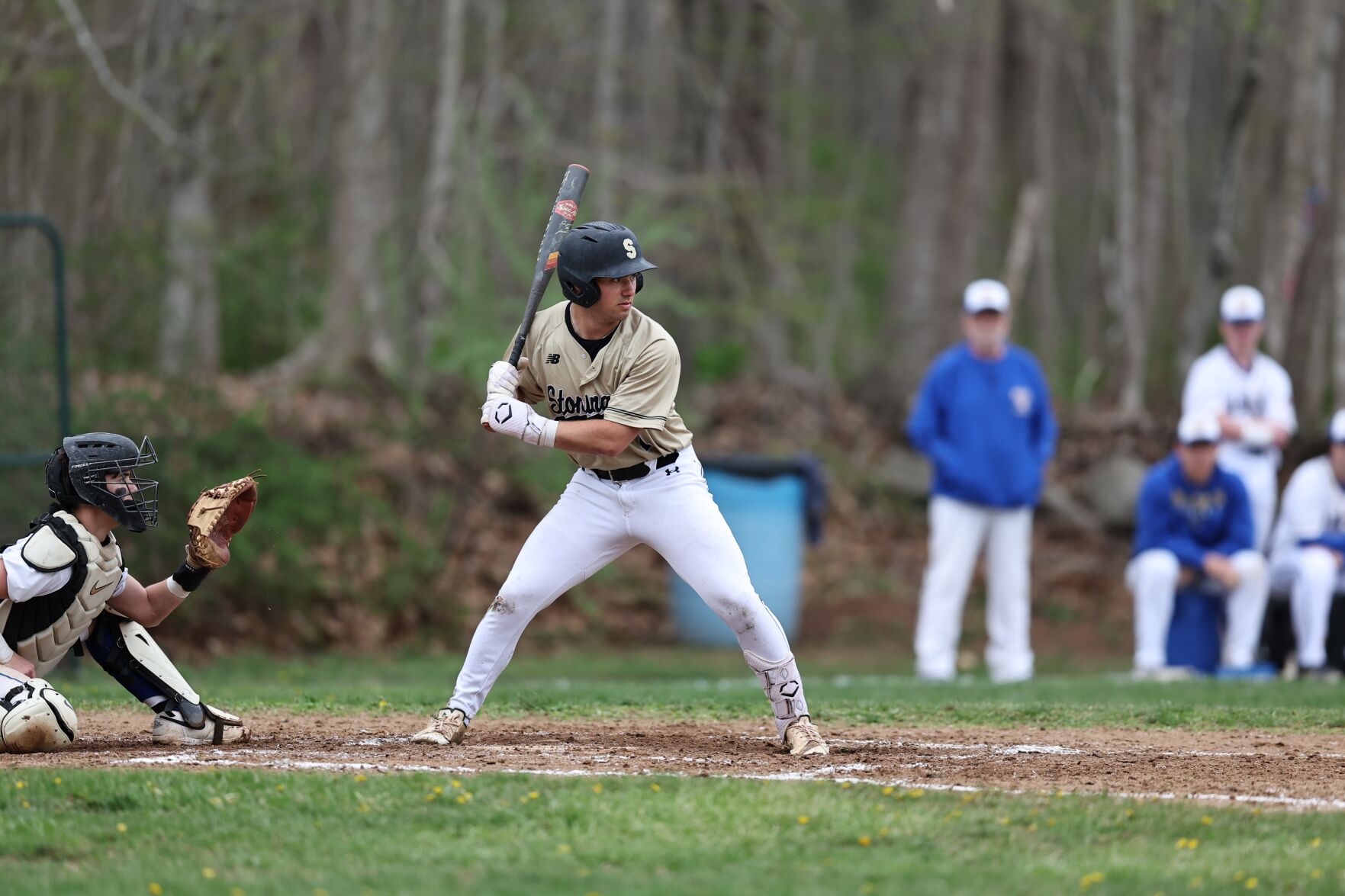 Bears' Panciera makes name known in ECC baseball | Stonington High ...