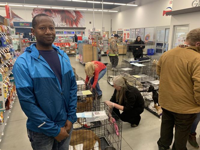 Adoption day at Westerly PetSmart | Daily-news-alerts | thewesterlysun.com