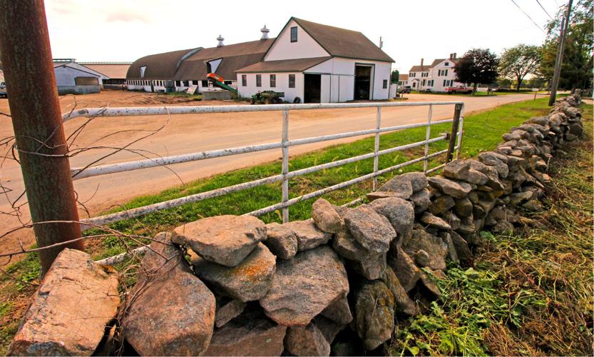 In front of the herd: Beriah Lewis Farm crowned state’s top dairy farm ...