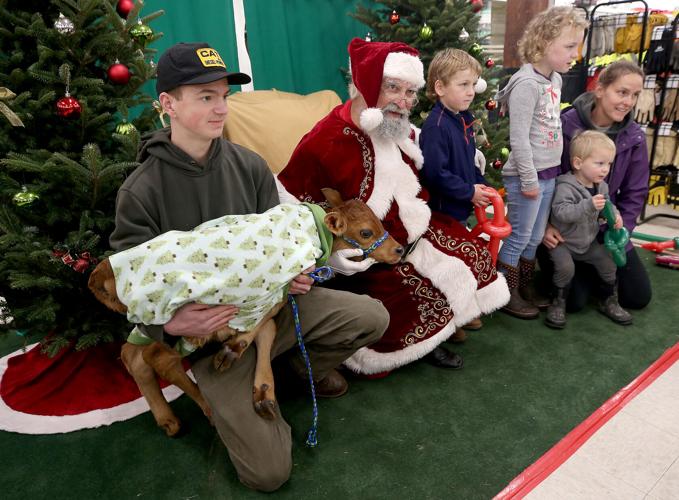 PHOTOS: Pet photos with Santa at Agway | Westerly | thewesterlysun.com