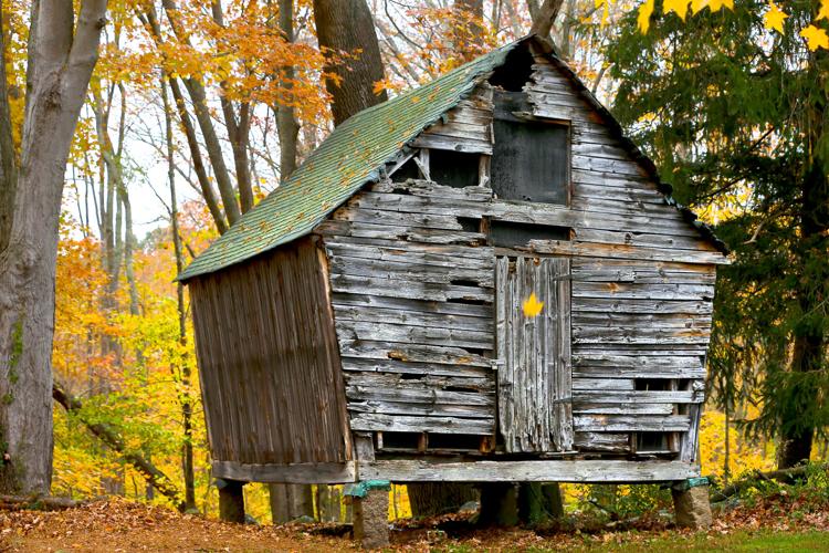 PHOTOS: Autumn ablaze at Hewitt Farm in North Stonington | North ...