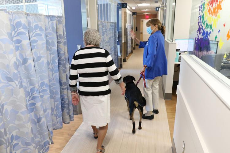 PHOTOS: Therapy dogs return to Westerly Hospital | Westerly ...