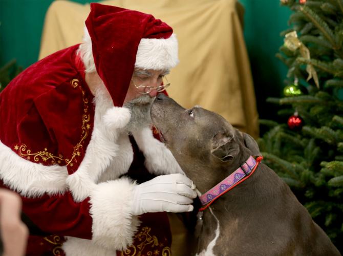 PHOTOS: Pet photos with Santa at Agway | Westerly | thewesterlysun.com