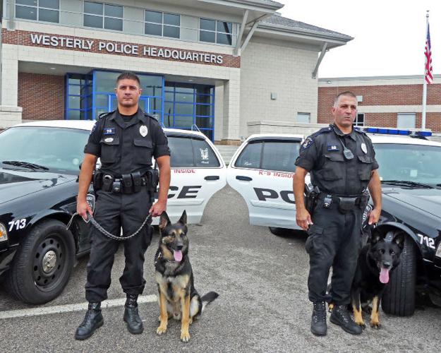 Westerly Police Department K-9 unit back on 12 legs | News ...