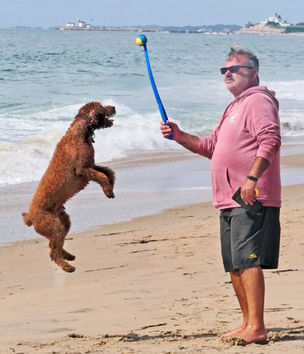 PHOTOS: Fall beach day along the Westerly shoreline | Westerly ...
