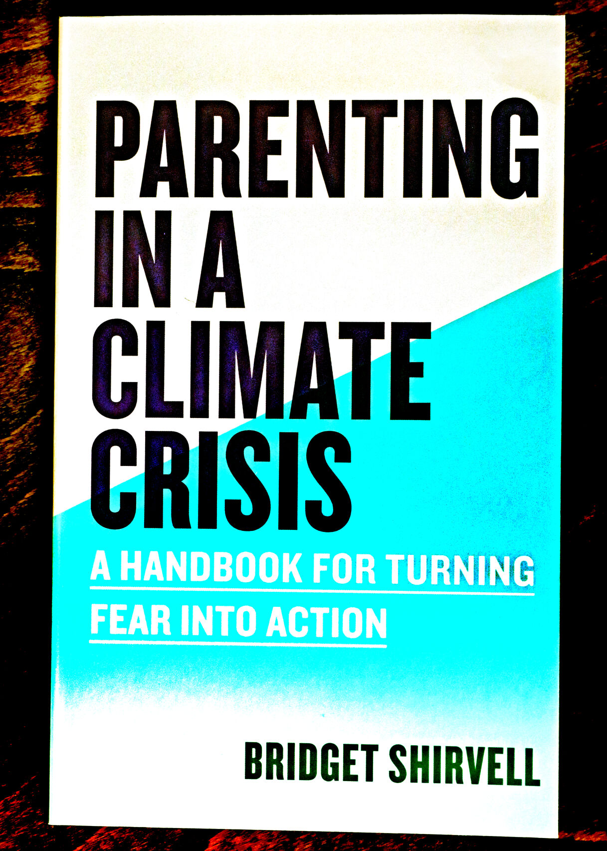 Mystic author Bridget Shirvell offers tips for 'Parenting in a Climate ...