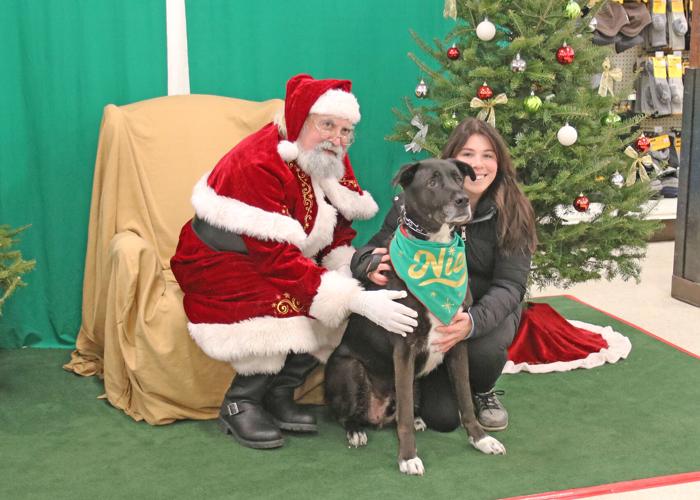 Out & About Santa Pet Photos | Lifestyle | thewesterlysun.com